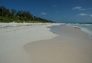 FINDING FREEDOM ON HARBOUR ISLAND | INSPIRED 55+ Lifestyle Magazine